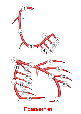 SYNTAX Score Calculator